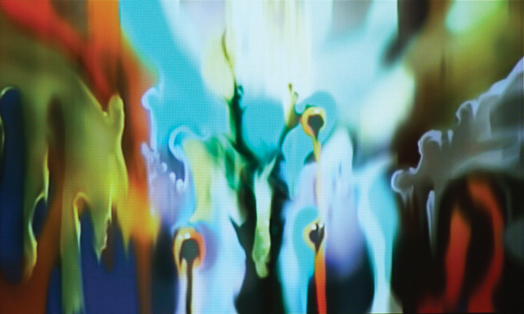 Marti and Tony Oppenheimer | Nerman Museum of Contemporary Art